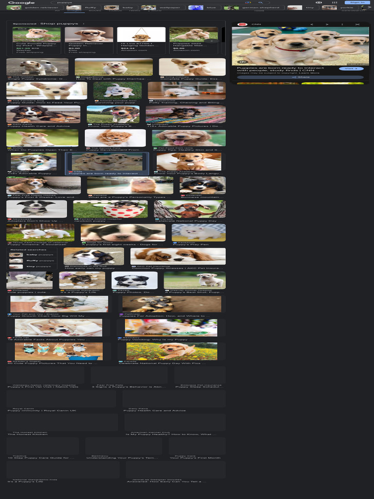 Puppys - Google Search | PDF | American Kennel Club | Dogs