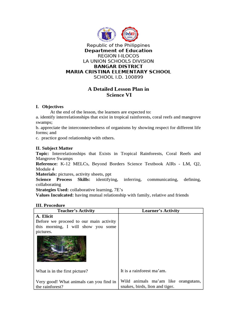 7es LESSON PLAN IN SCIENCE | PDF | Predation | Parasitism