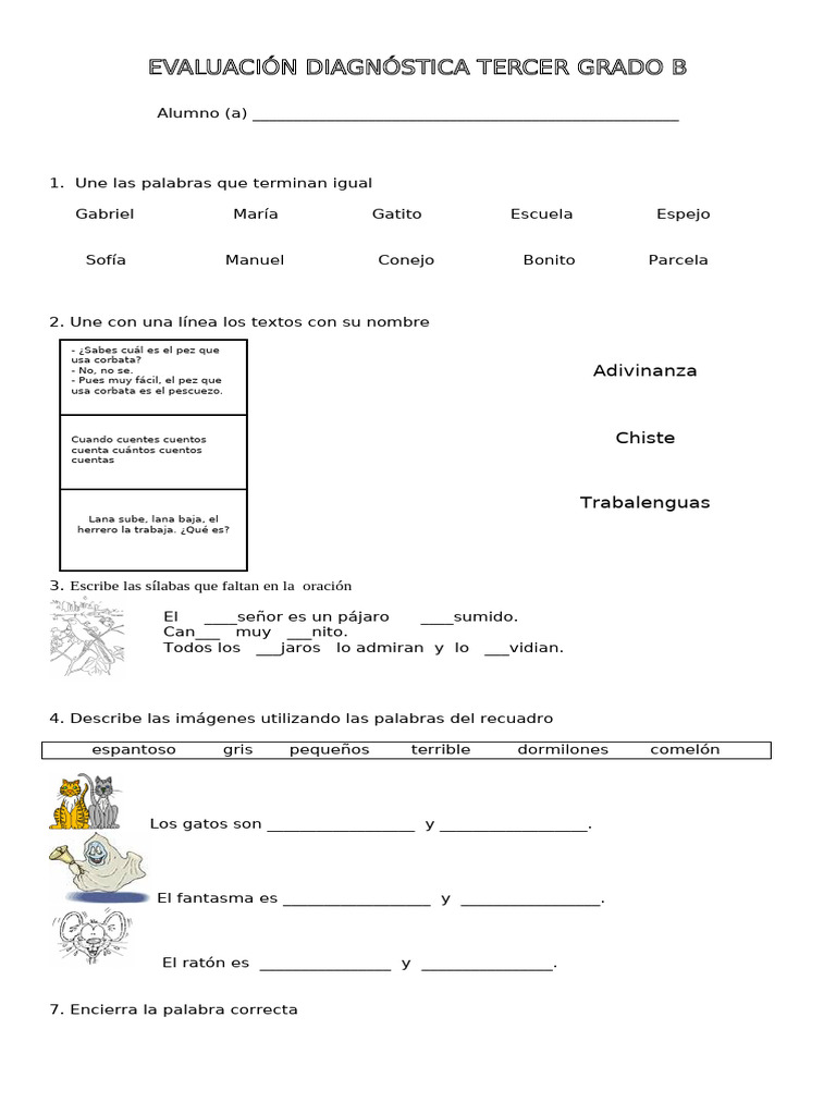 Prueba Diagnostica Tercer Grado | PDF