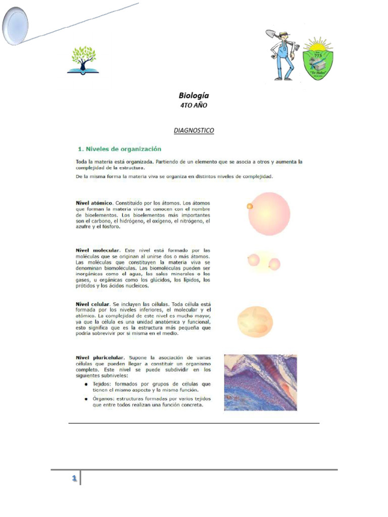 2024 Biologia 4to 773 | PDF | Biología | Adn