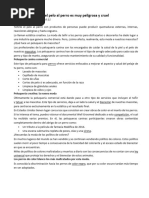 Perro Con Cara de Asco Meme - Buscar Con Google | PDF | Red social ...