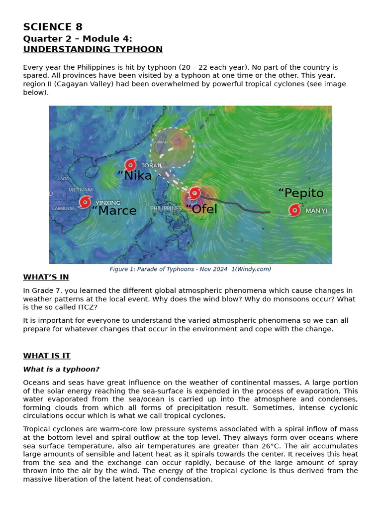 LAS_UNDERSTANDING-TYPHOON_Q2-M4 | PDF | Tropical Cyclones | Wound