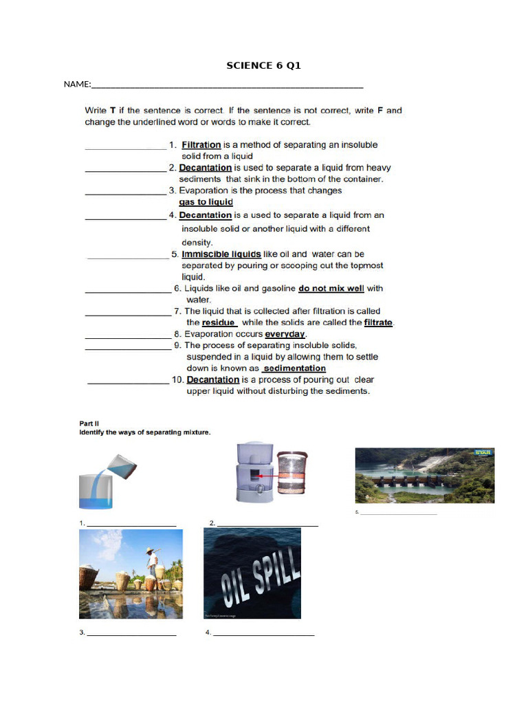 SCIENCE 6 Q1_ACTIVITY | PDF