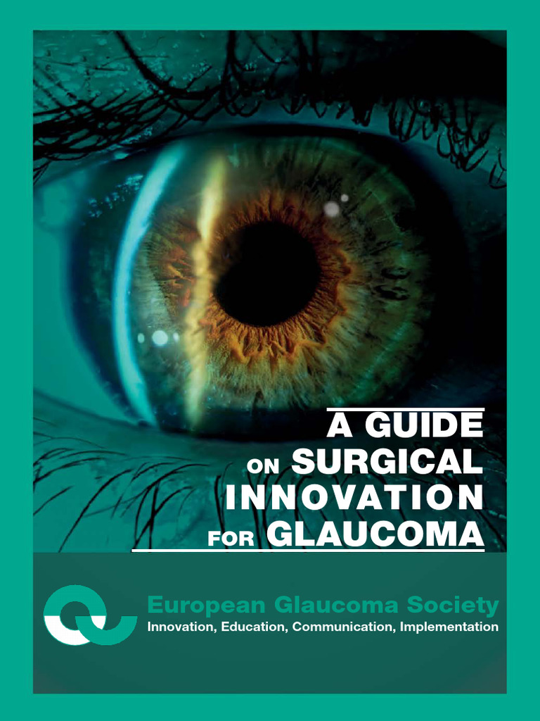 European Glaucoma Society - A Guide On Surgical Innovation For Glaucoma ...