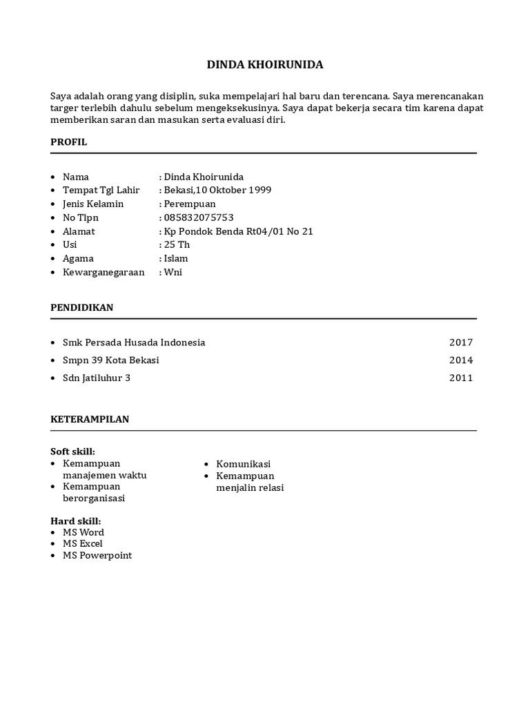 CV Dinda Khoirunida | PDF