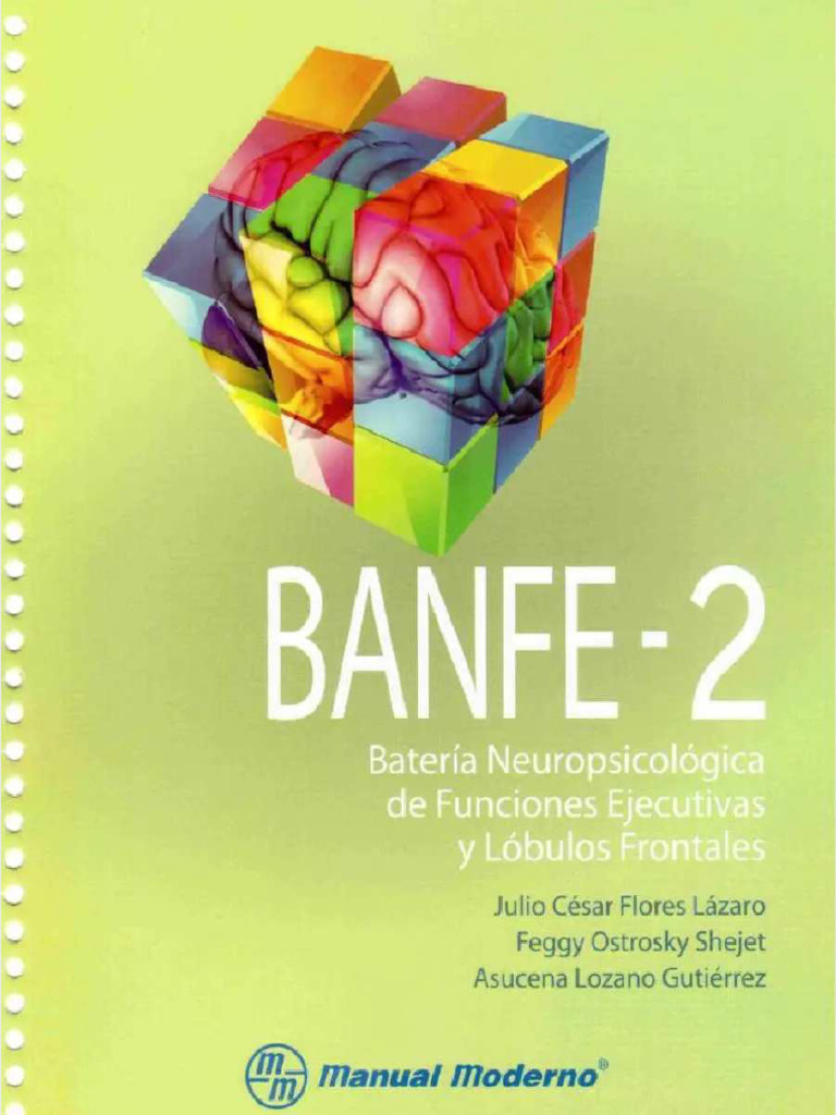 PDF Manual Banfe 2 Compress | PDF