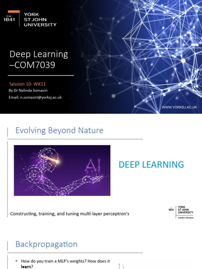 DL_Session10_WK11_Part2 | PDF