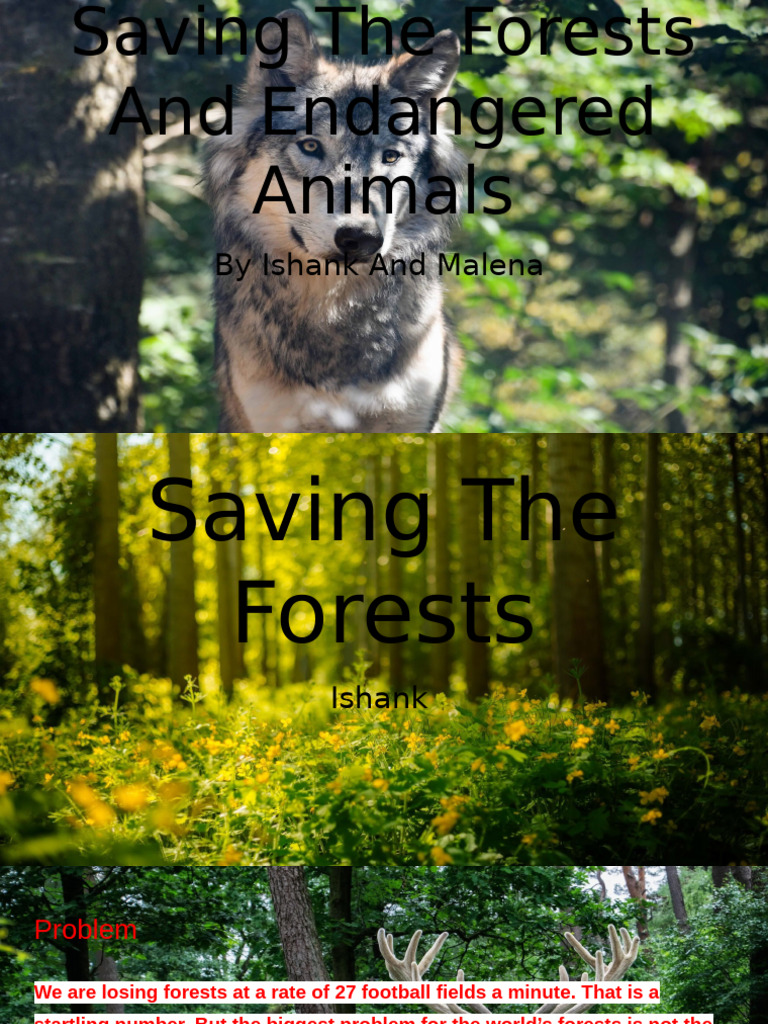 Saving the Forests | PDF | Deforestation | Forests