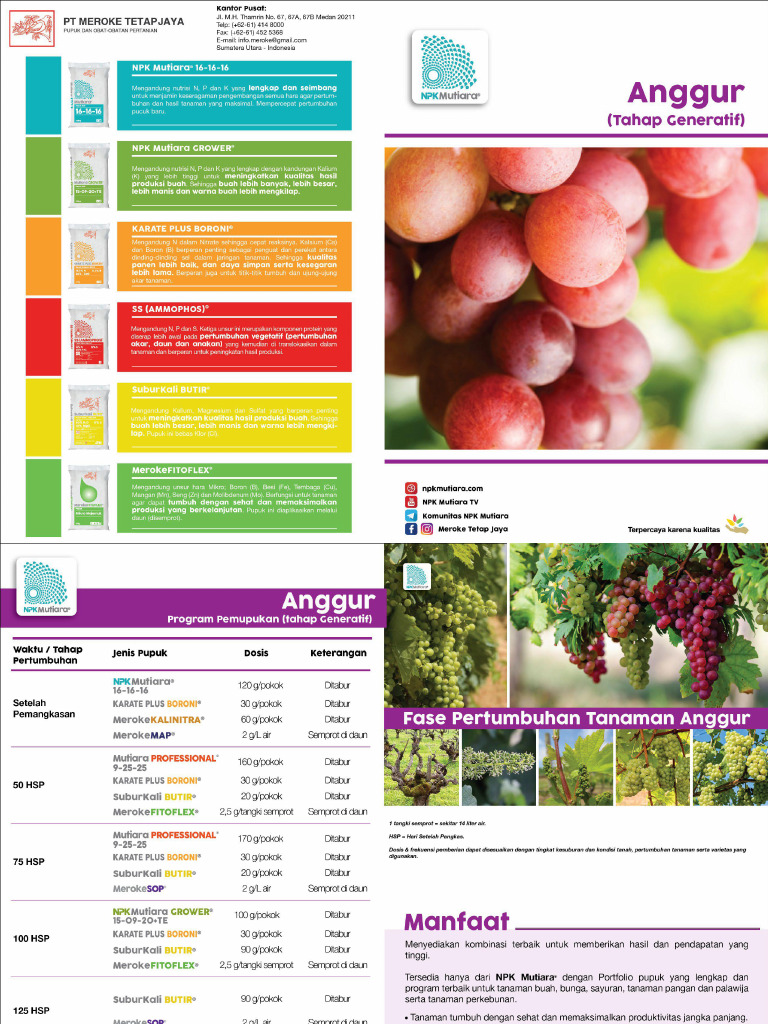 Brosur Program Pemupukan Anggur Generatif | PDF