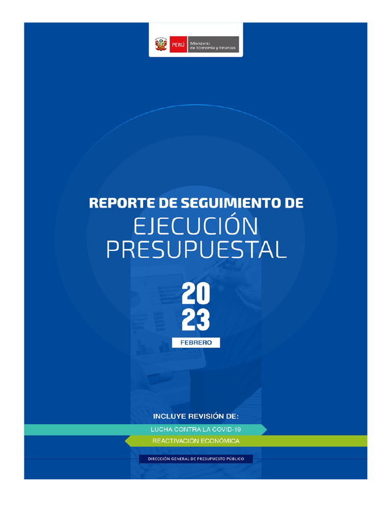 Reporte Presupuesto 022023 | PDF