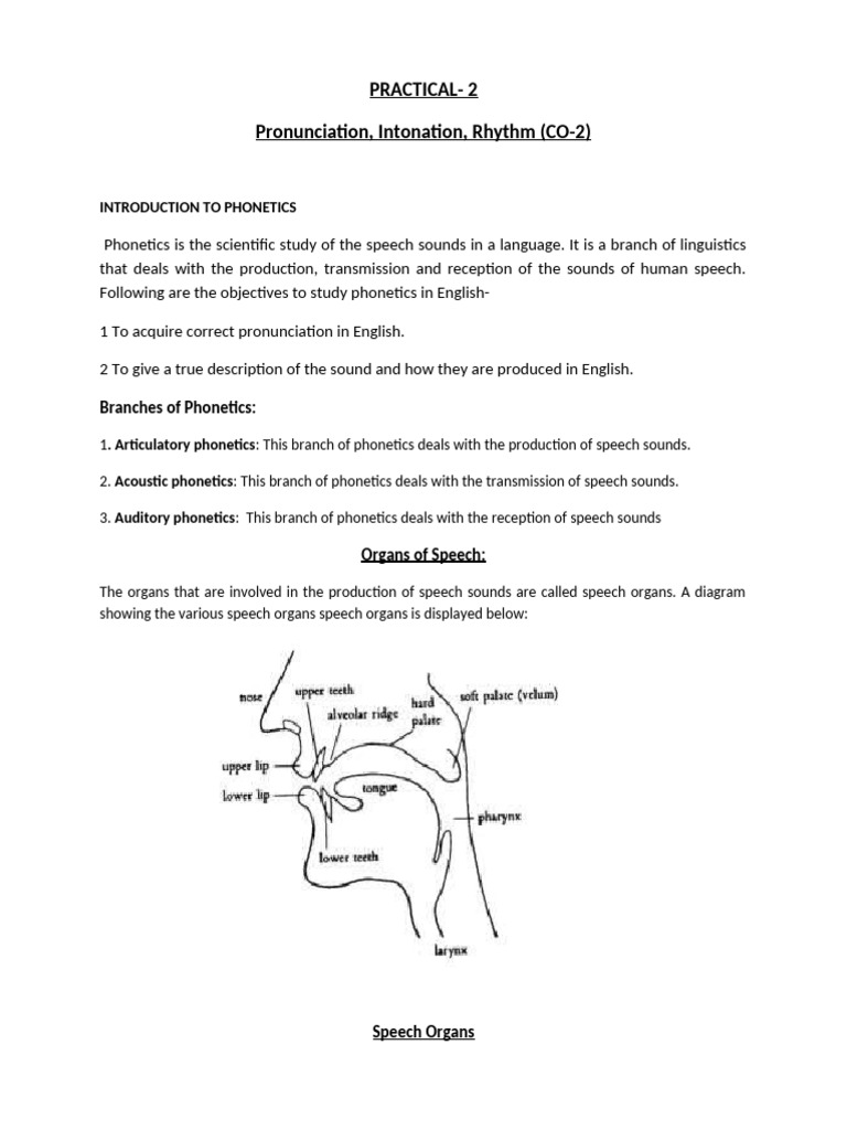 PRACTICAL 2 Phonetics (1) | PDF | Phonetics | Syllable