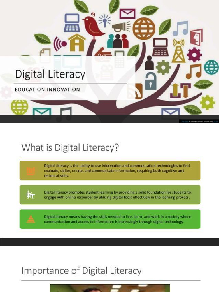 Module 3 Digital Literacy | PDF
