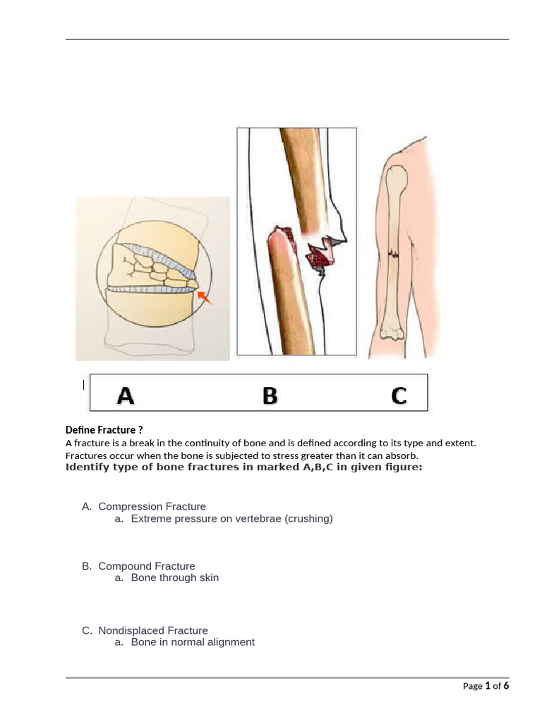 Radio Viva Doxs Imp | PDF | Bone | Radiography