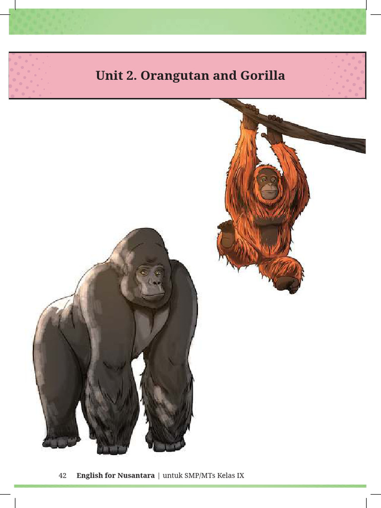 Chapter 1 Unit 2 Orangutan and Gorilla | PDF | Orangutan | Gorilla