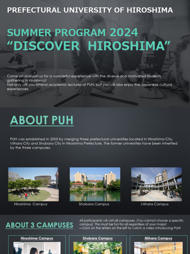 Hiroshima Summer Program 2024 Details | PDF | Travel Visa | Insurance