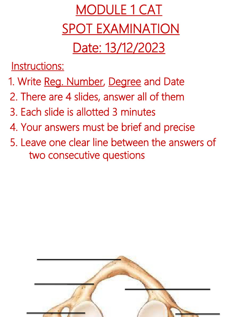 Spot Examination SAMPLE 2023 - 1 | PDF