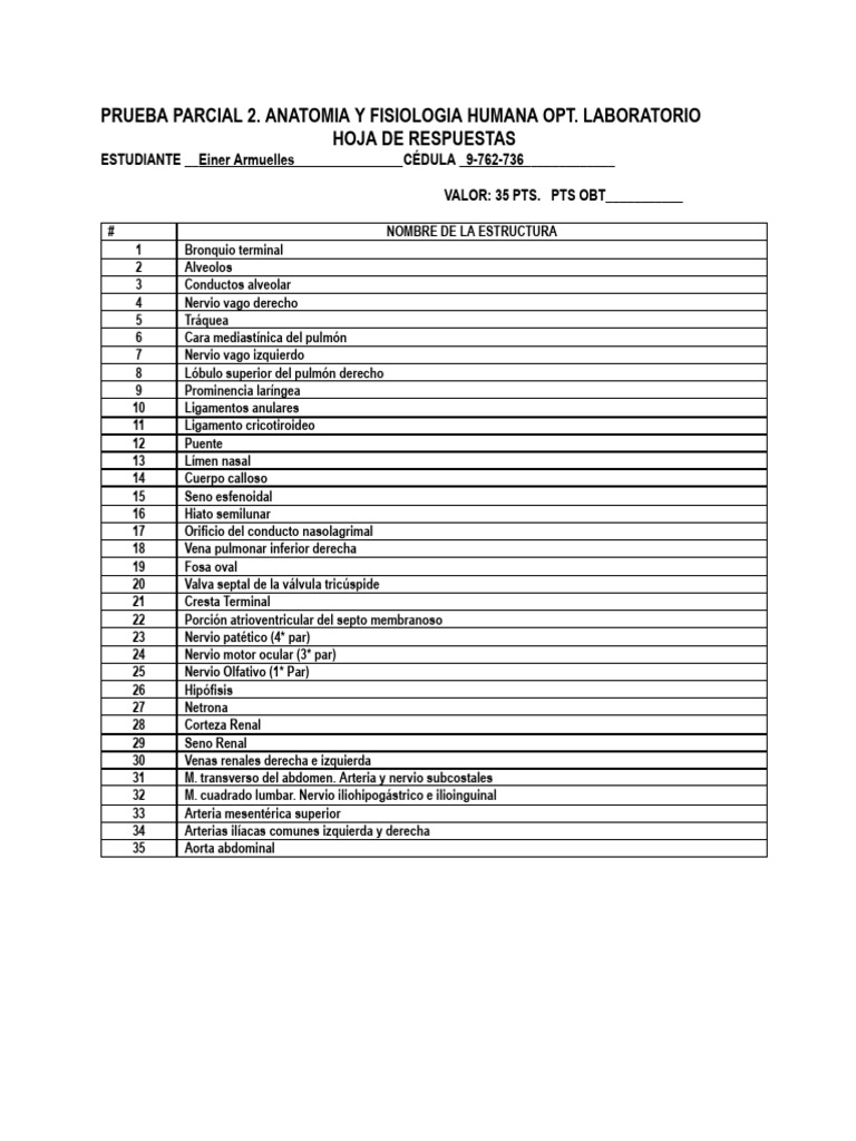 Parcial 2 de Lab-Anatomía.docx | PDF