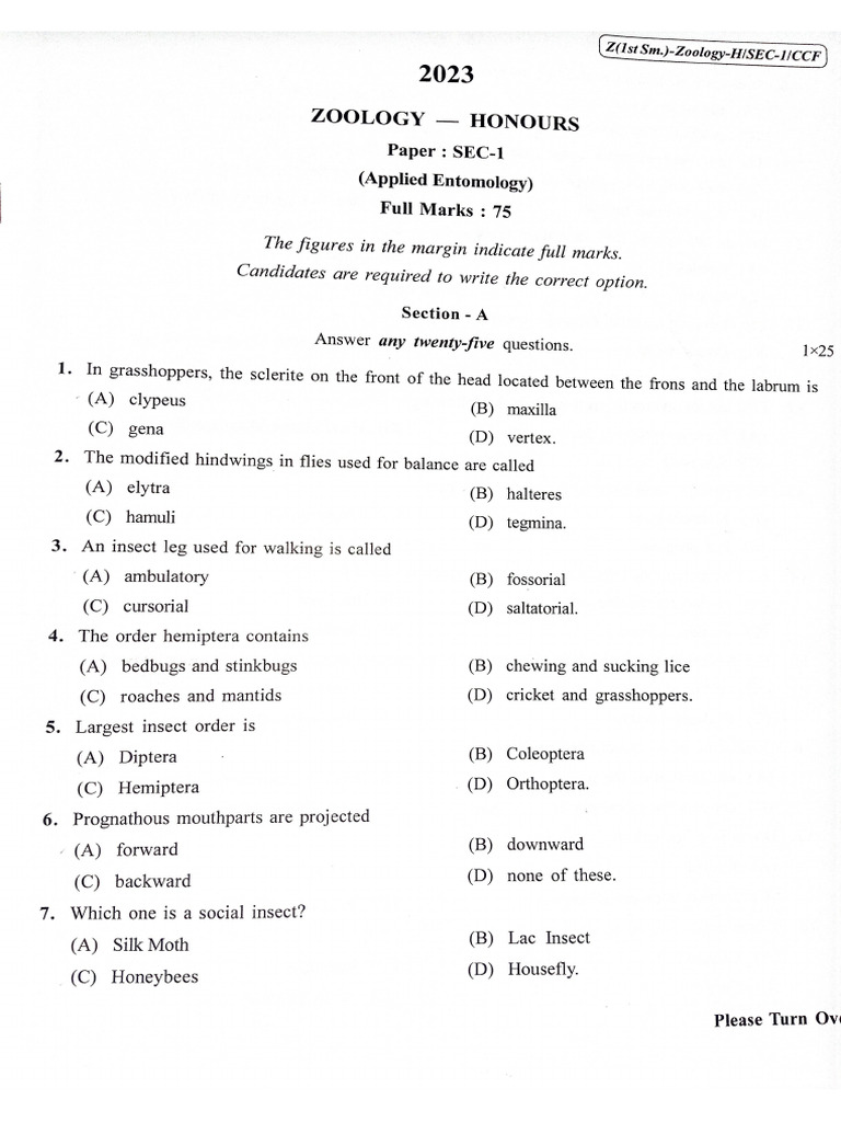 SEC CCF Question Paper SEM I | PDF