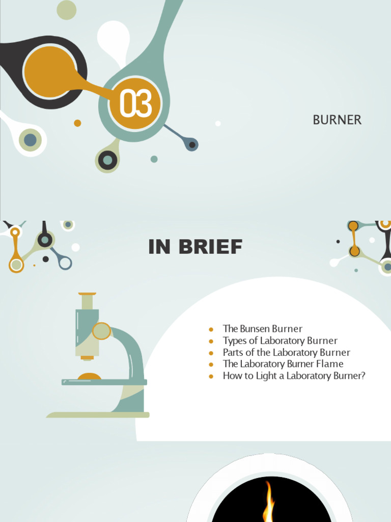 Exercise No. 3 The Laboratory Burner | PDF | Industrial Processes | Oxygen