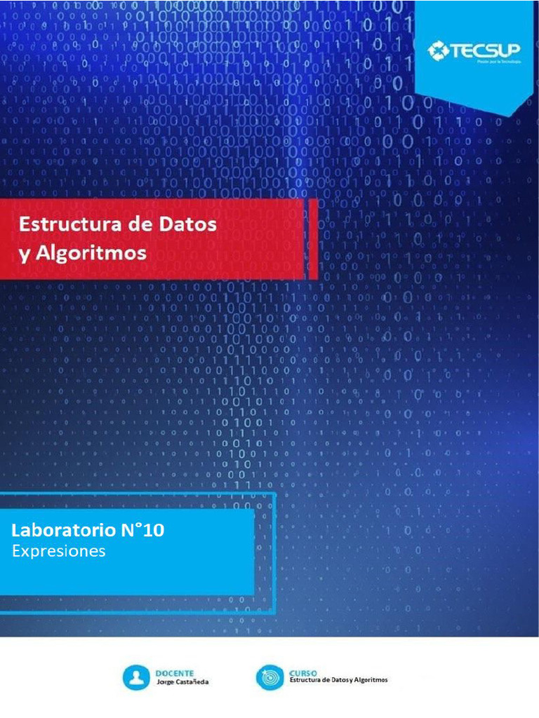 Lab S10 Jcastañeda 2022 1 | PDF | Python (lenguaje de programación) | Ingeniería Informática