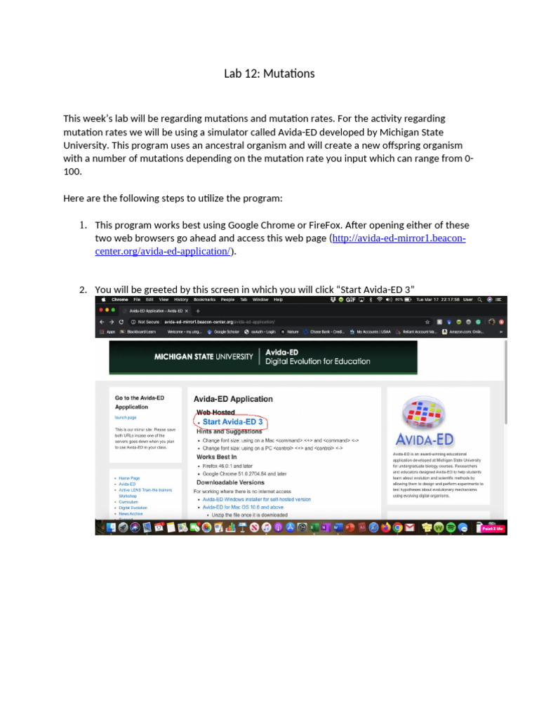 Week 12 online lab instructions (1) | PDF