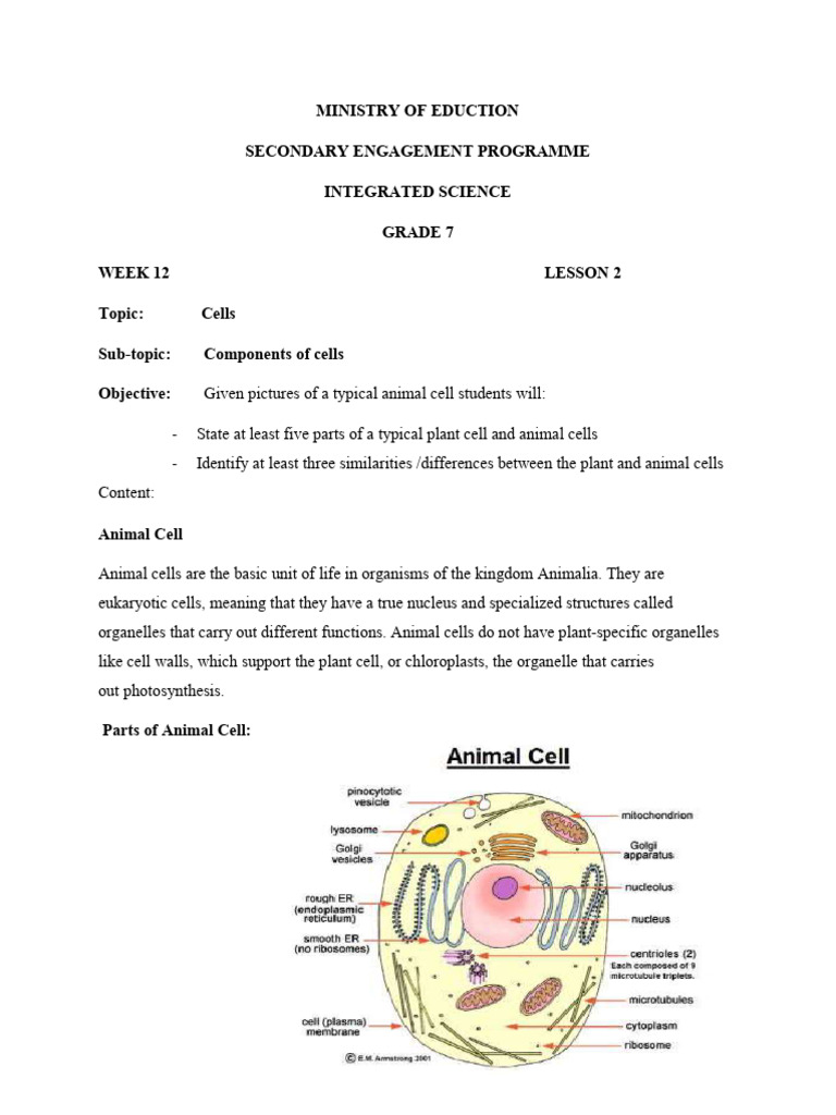 Components of Animal Cells | PDF