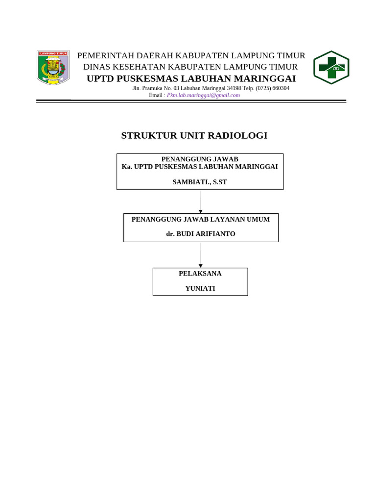 Struktur Unit PKM 2019 | PDF