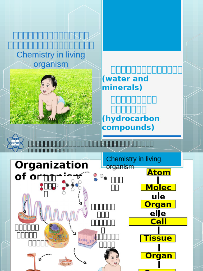 Chemistry in Living Organism | PDF
