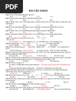 BÀI TẬP ANKANE | PDF