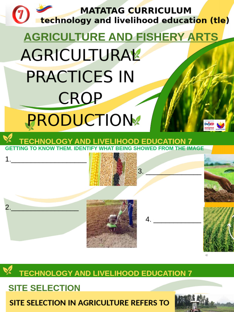 T L e 7 Agricultural Practices in Crop Production | PDF | Agriculture ...