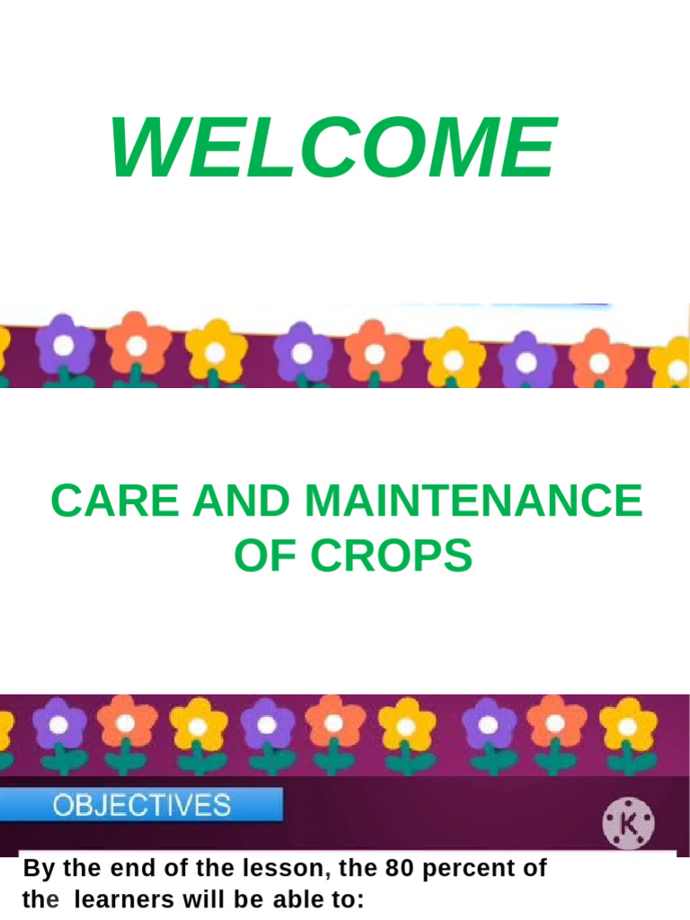 Crop Care and Maintenance Practices | PDF | Agriculture | Tillage