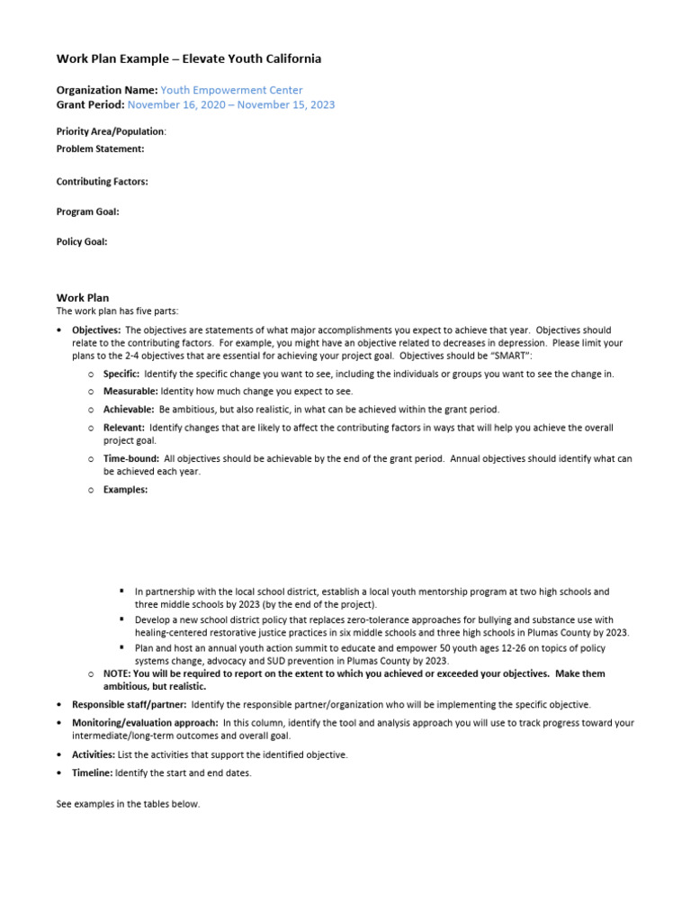 EYC_R4_Standard_Work_Plan_Example_Final | PDF | Mentorship