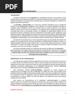Sindesmología Veterinaria: Articulaciones y Tipos | PDF | Articulación ...