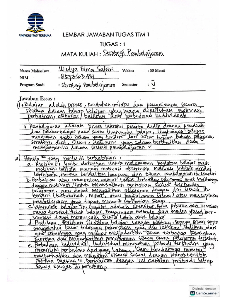 Ttm1 Strategi Pembelajaran Widya | PDF
