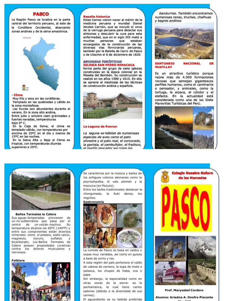 pdf-triptico-de-pasco_compress | PDF