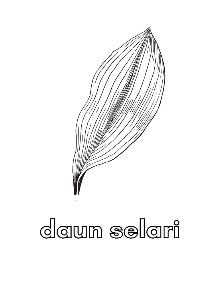 daun selari | PDF