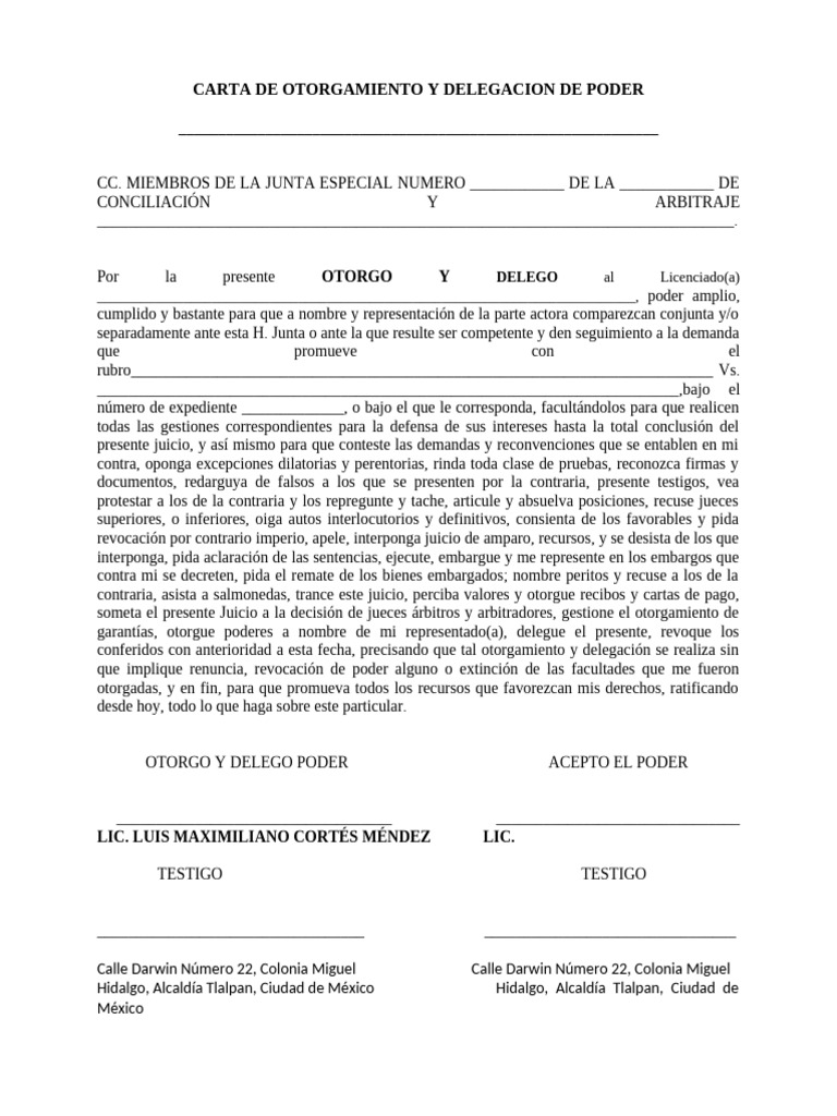 Carta de Otorgamiento y Delegacion de Poder 1 | PDF | Justicia | Crimen y violencia
