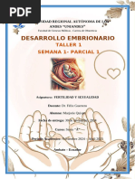 Atlas del Desarrollo Embrionario del Perro | PDF | Embrión | Procesos ...