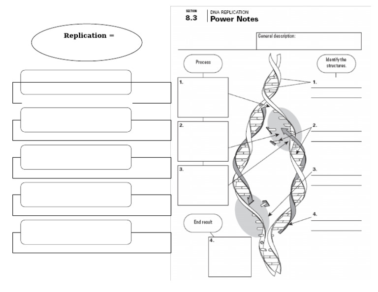 Understanding Replication Basics | PDF
