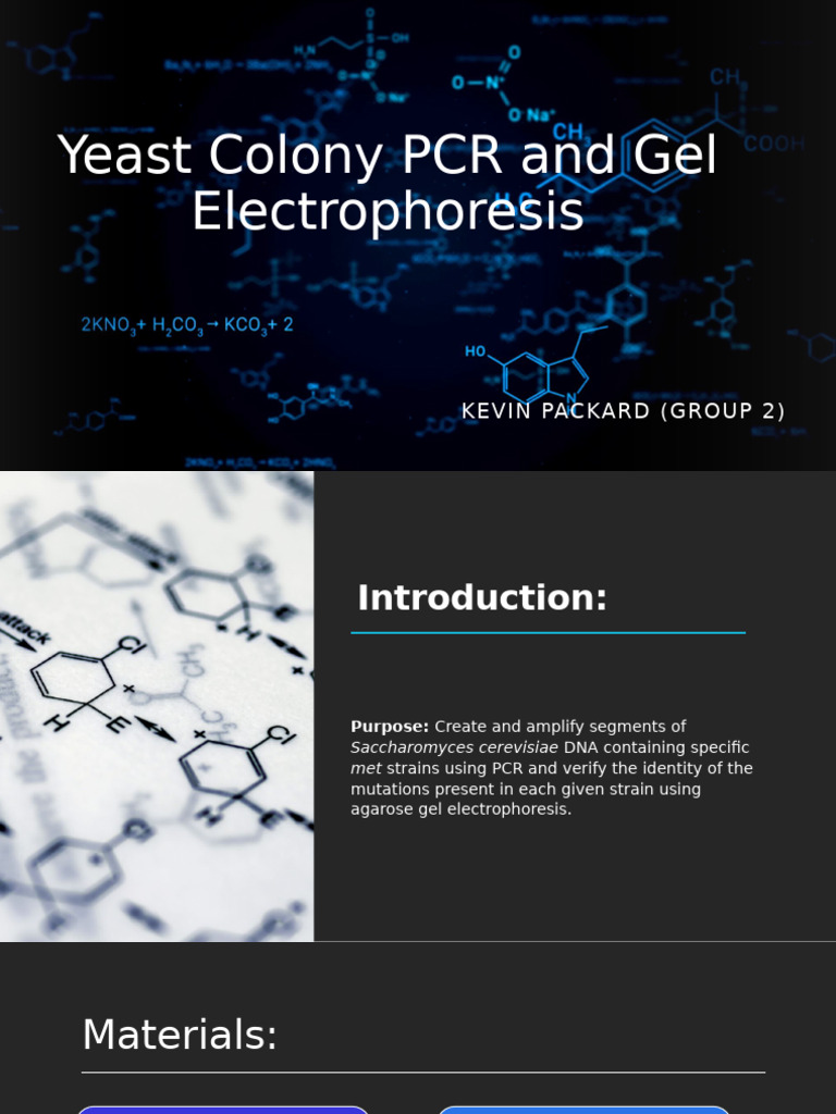 Bio Presentation 1 | PDF | Agarose Gel Electrophoresis | Gel ...