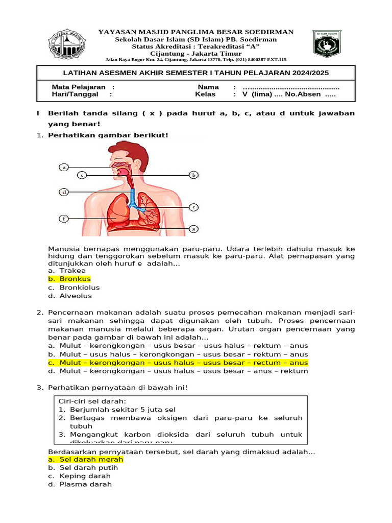 KJ Ipas Latihan Asas 1 Tp. 2425 | PDF