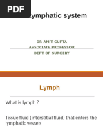 The Lymphatic System Ppt1 | PDF | Lymphatic System | Lymph