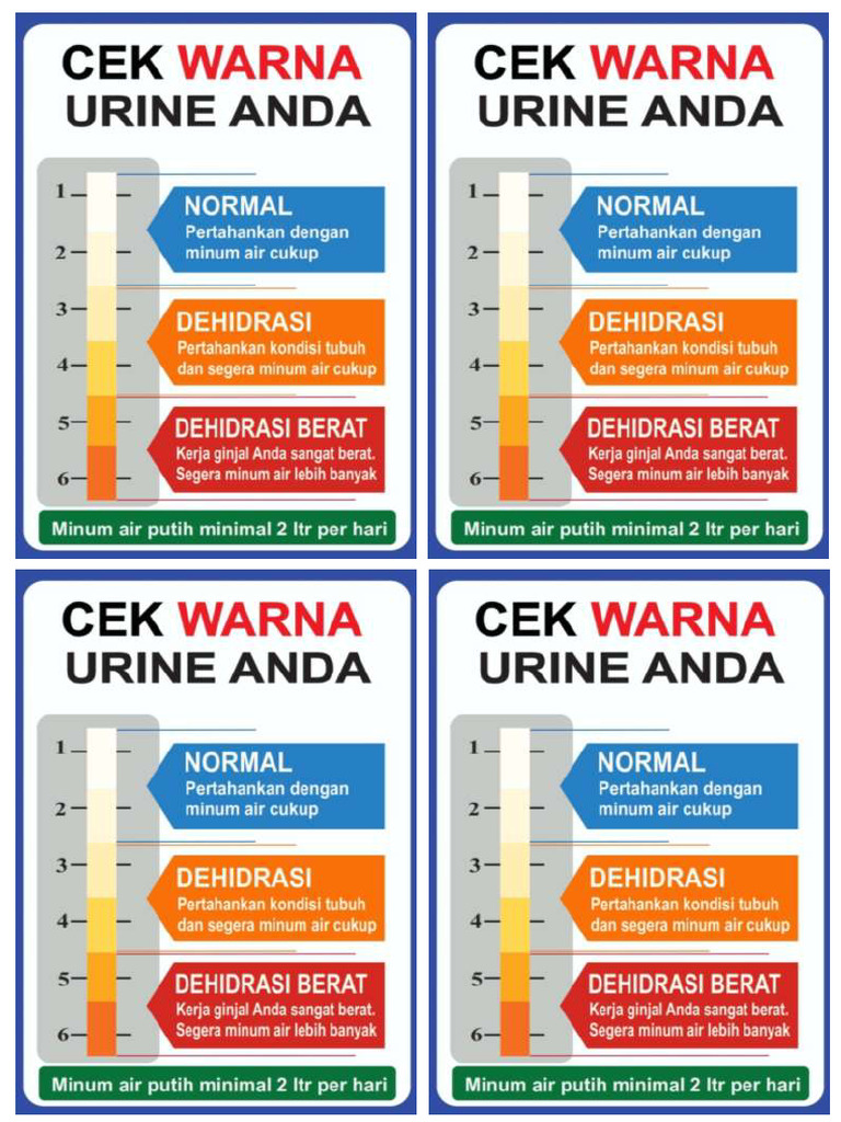Urine | PDF