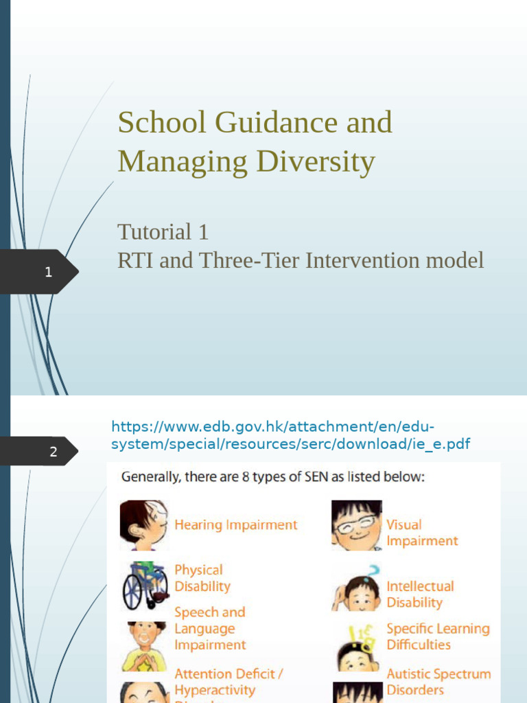 Supporting Students with SEN in Schools | PDF | Learning Disability ...