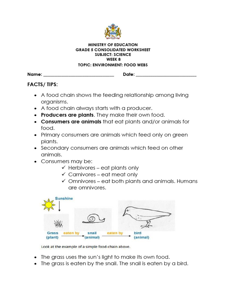 Grade 5 Science Week 8 - 2022 - consolidated worksheet | PDF | Soil | Foods