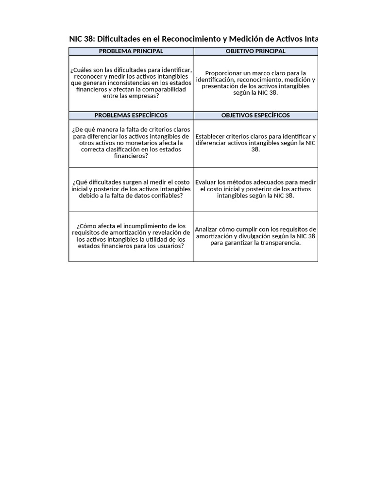 Matriz Nic 38 | PDF | Activo intangible