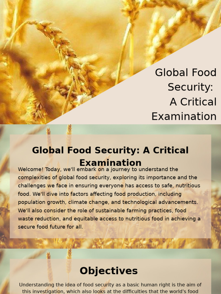 Global Food Security | PDF | Agriculture | Food Security
