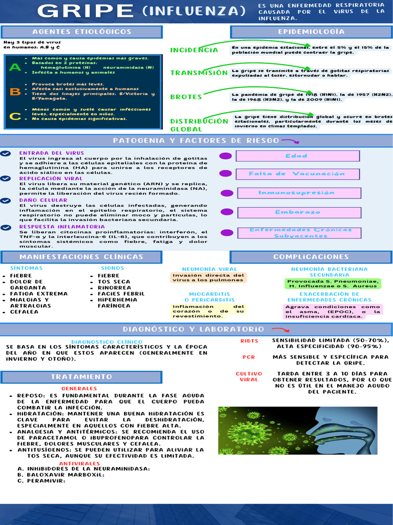 Infografia 2-Influenza | PDF | Influenza | Virus de la Influenza A ...