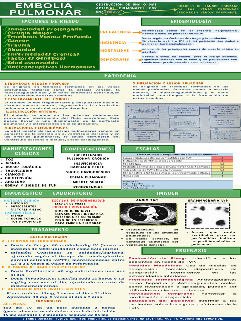 Infografía 4-Embolia Pulmonar | PDF | Trombosis | Embolia