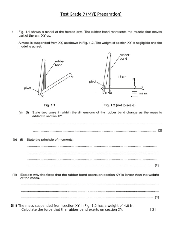 Test Grade 9 (MYE Preparation) | PDF